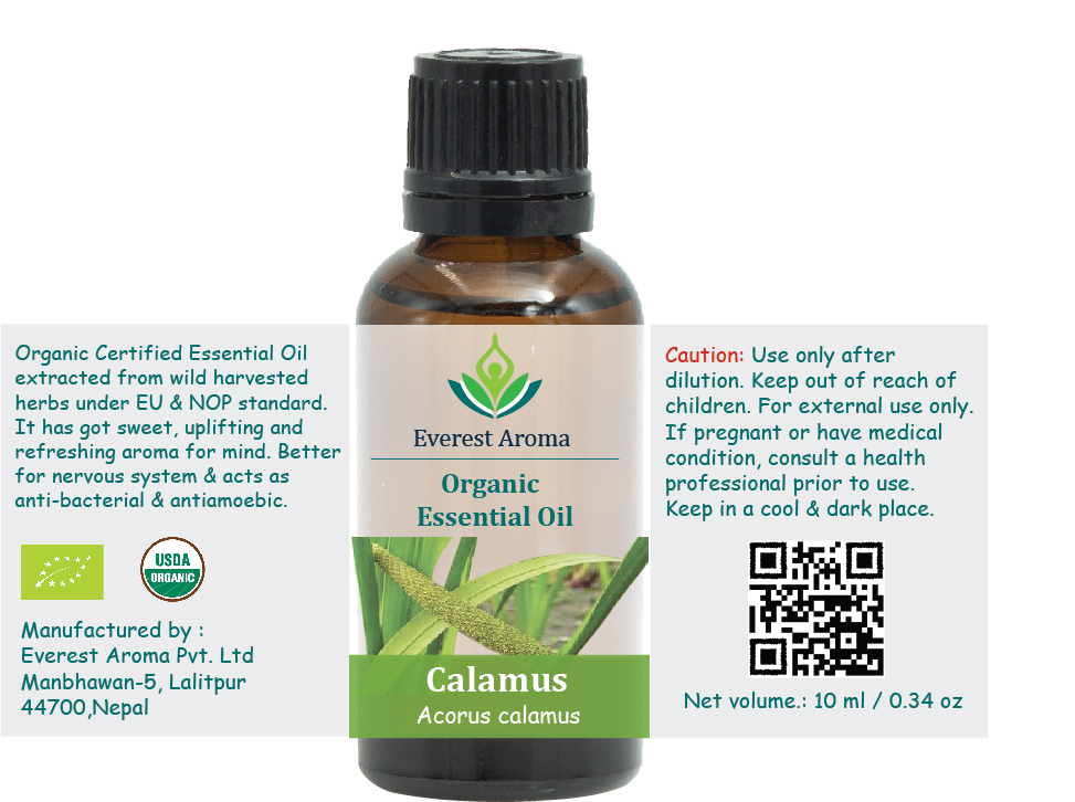 Everest Aroma Calamus Essential Oil | Jeevee