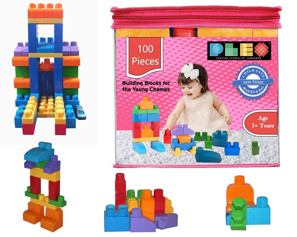 Plex 100 Pcs Building Blocks For Kids -pink Bag | Jeevee